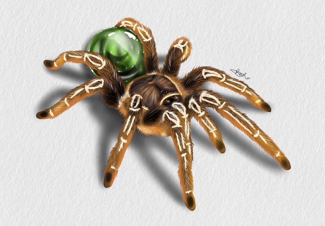 Birthstone Tarantula Fine Art Prints 8 X 12 January-june - Etsy