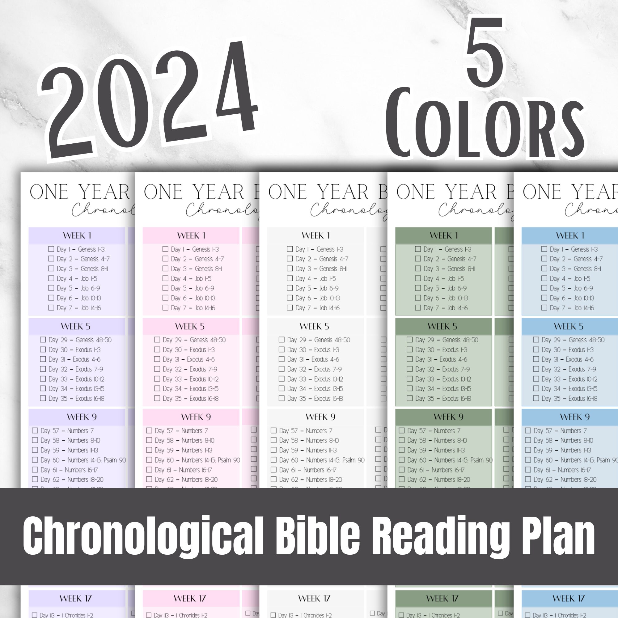 Chronological Bible Reading Tracker Read the Bible in 2024 A Year of ...