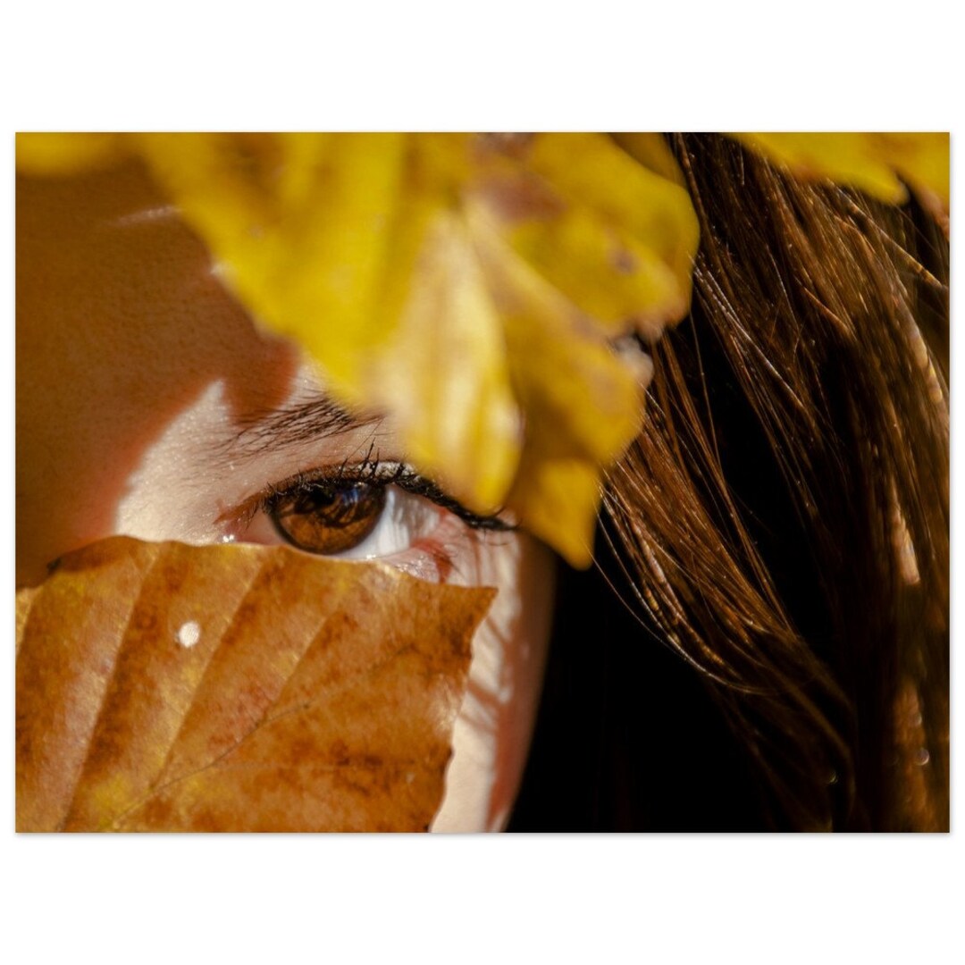 Amber Gaze Professional Photography Wall Art Beautiful Amber Eye ...