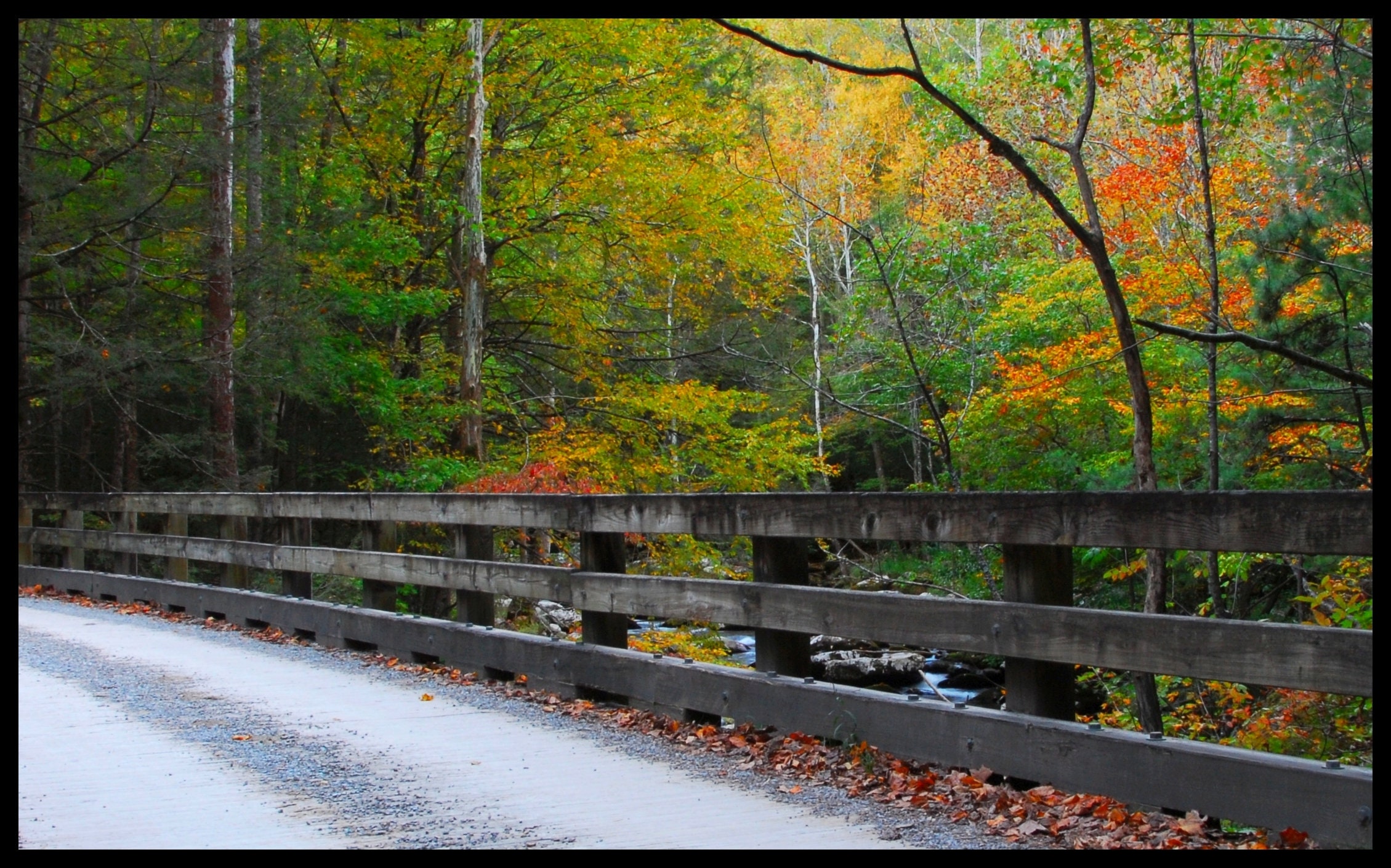 Nature Photography, Nature Prints, Photography Prints Nature, Framed ...