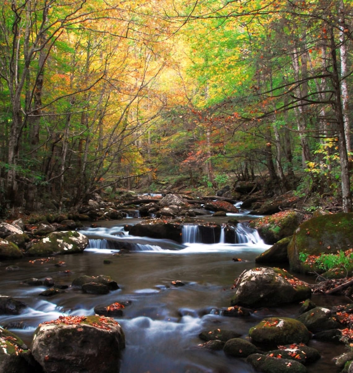 Photography Prints Nature Digital Download, Photograph Prints Digital ...