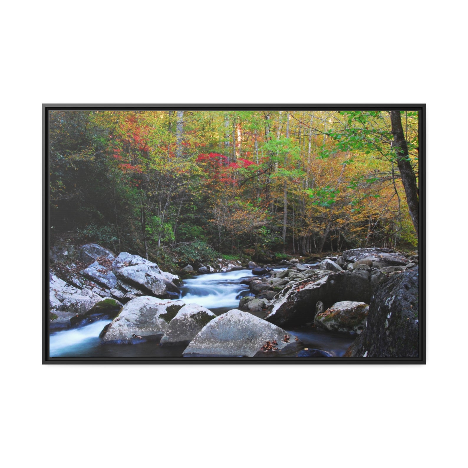Nature Photography, Nature Prints, Photography Prints Nature, Framed ...