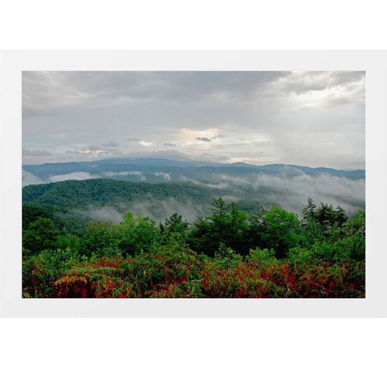 Framed Nature Landscape Photography Prints, Nature Wall Art, Nature ...
