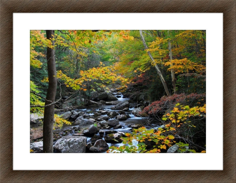 Photography Prints Nature Digital Download, Photography Prints Digital ...