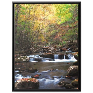 Framed Nature Photography, Canvas Photography Prints Nature, Landscape ...