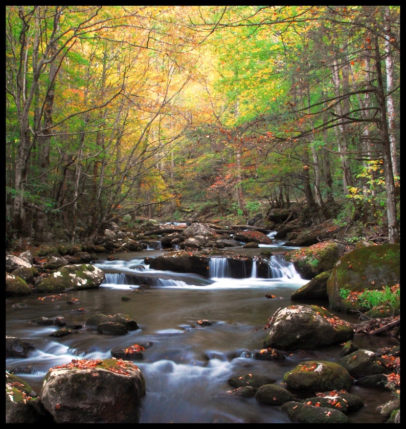 WALL ART Nature Wall Art Nature Prints Photography Print Nature ...