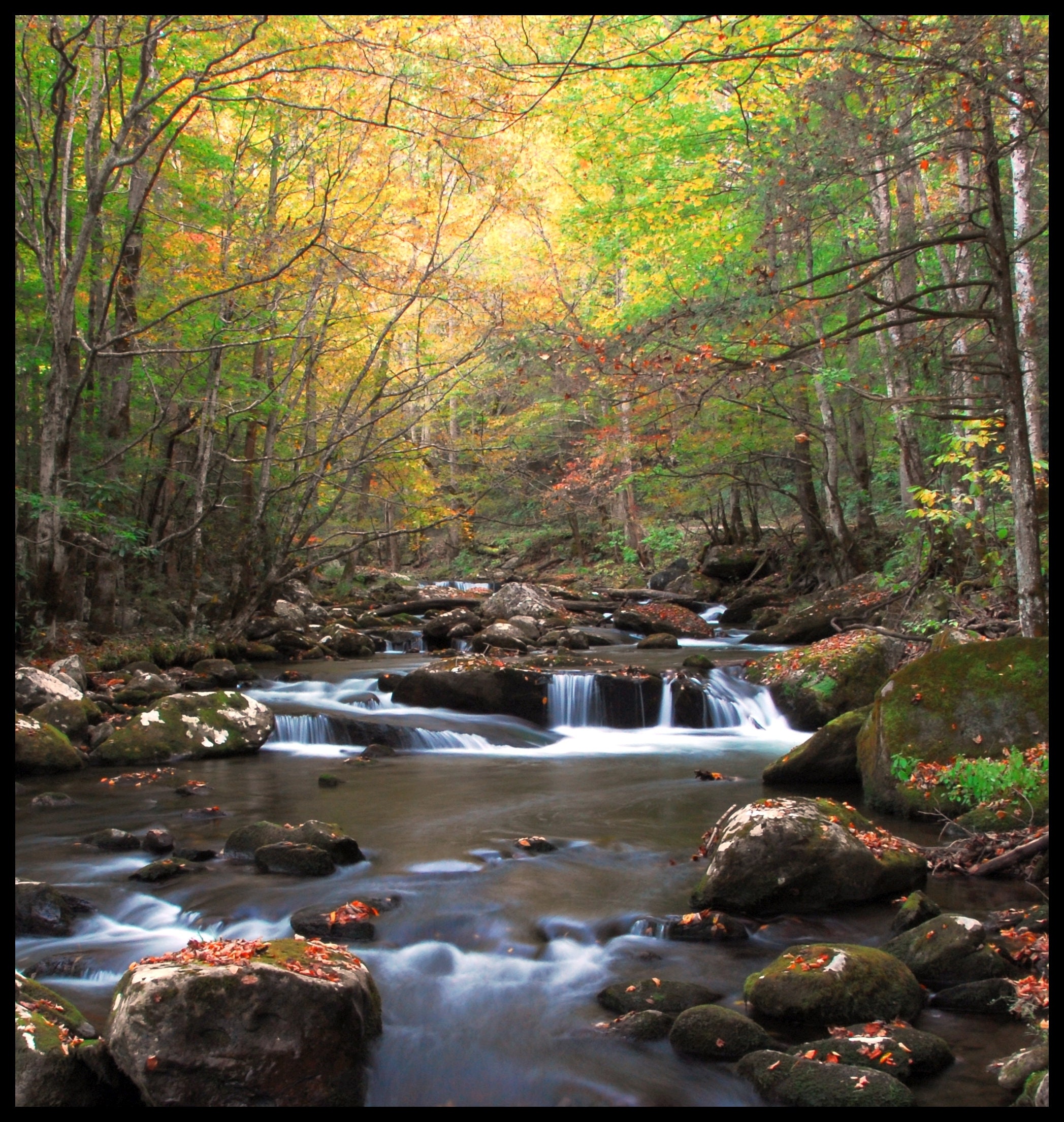 WALL ART Nature Wall Art Nature Prints Photography Print Nature ...