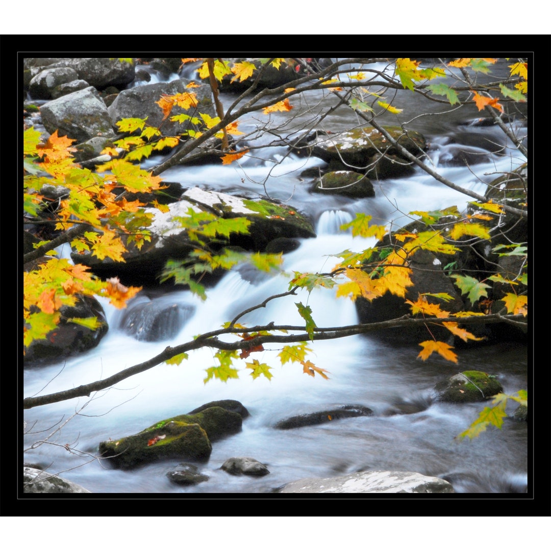 Nature Landscape Prints, Landscape Photography, Nature Photography ...