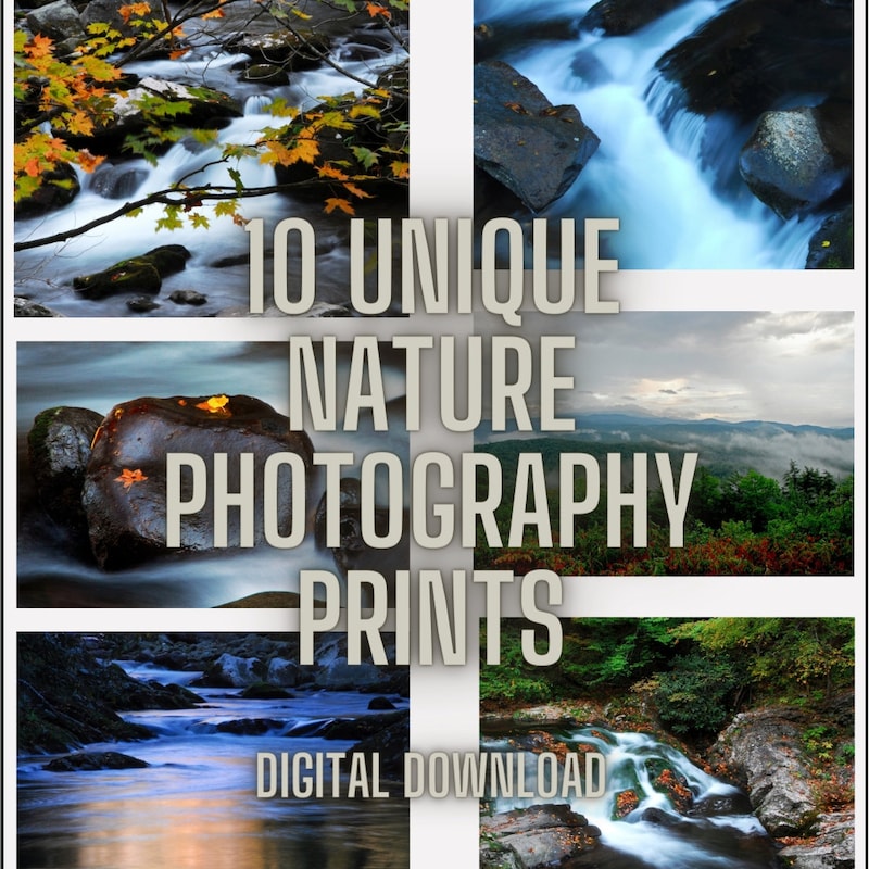 Nature Photography - Etsy