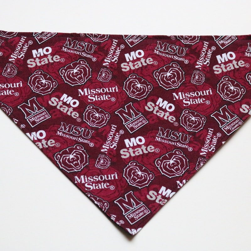 Missouri State University - Etsy