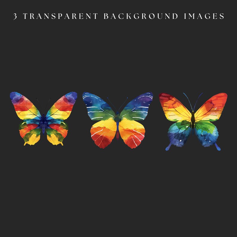 Rainbow Butterfly Clipart - Vibrant Butterfly Graphics Whimsical ...