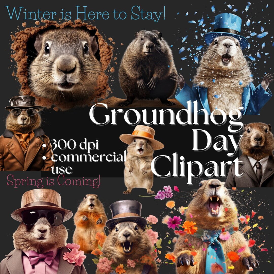 Groundhog Day Woodchuck Clipart Instant Download 300 Dpi - Etsy