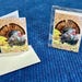 Turkey Photography Notecard Set - Etsy