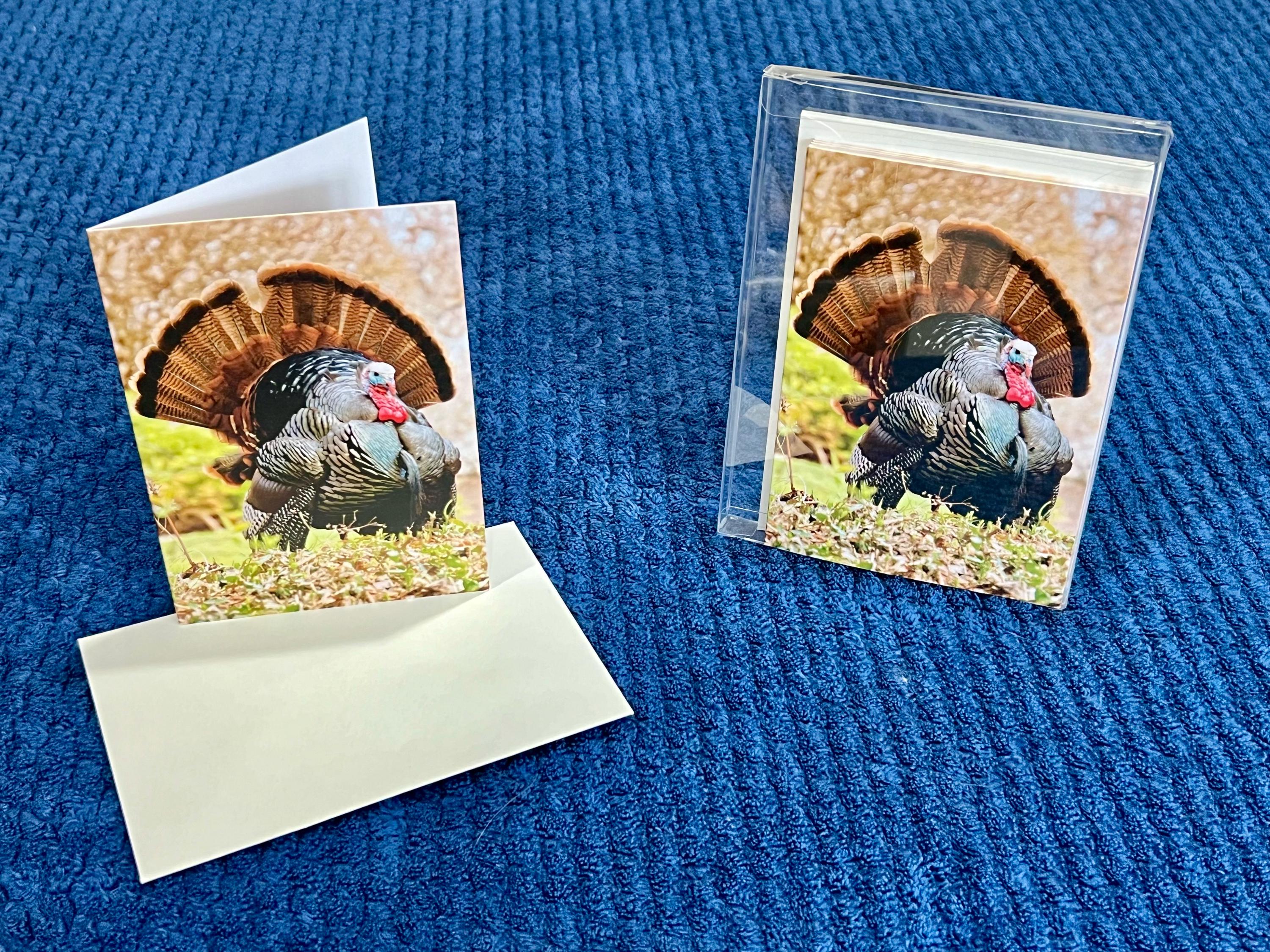 Turkey Photography Notecard Set - Etsy