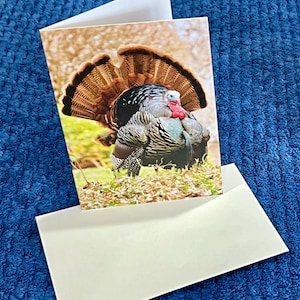 Turkey Photography Notecard Set - Etsy