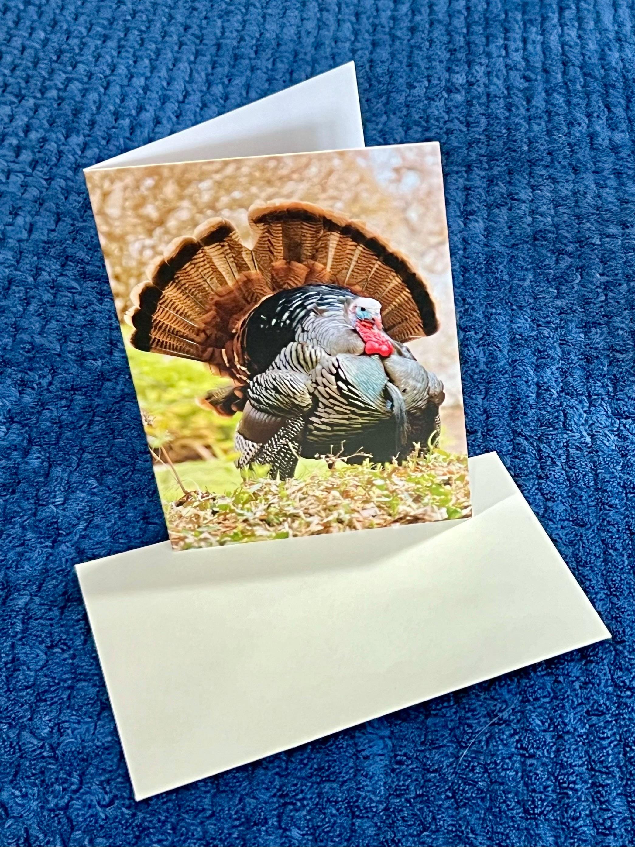 Turkey Photography Notecard Set - Etsy