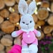 DOR Bunny Amigurumi/crochet Rabbit/ Easy Crochet Pattern/low Sew /plush ...