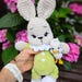 DOR Bunny Amigurumi/crochet Rabbit/ Easy Crochet Pattern/low Sew /plush ...
