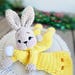 DOR Bunny Amigurumi/crochet Rabbit/ Easy Crochet Pattern/low Sew /plush ...