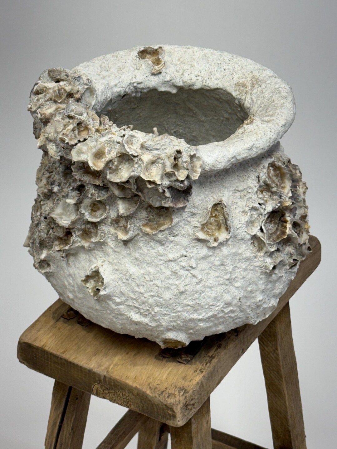 8.5 Inch Seashell Barnacle Vase - Etsy