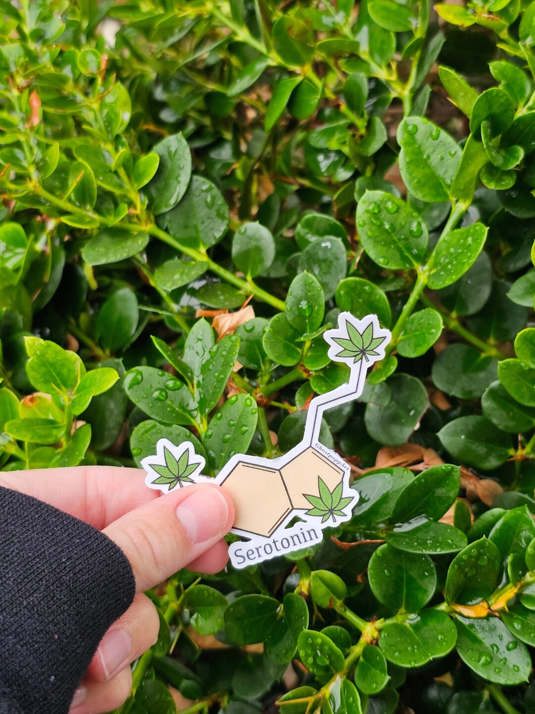 Labelled Weed is Serotonin - Etsy