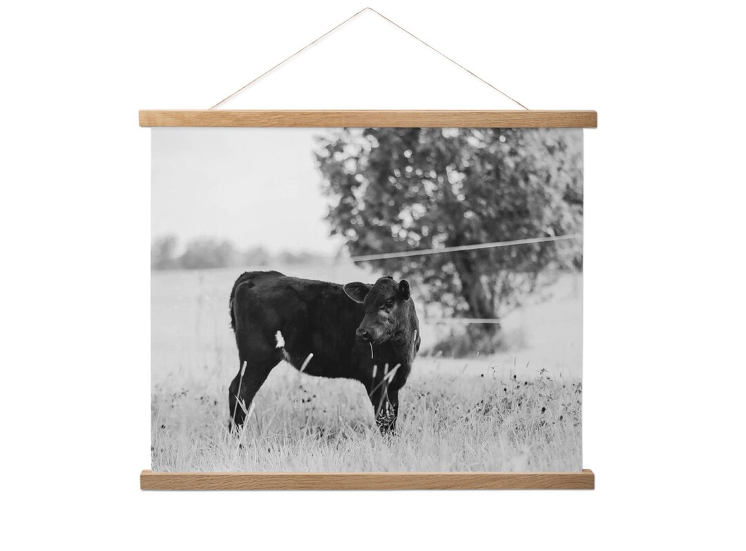 Lola Canvas Scroll - Etsy