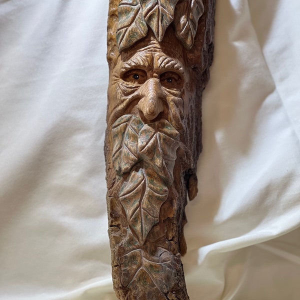 Cottonwood Bark - Etsy