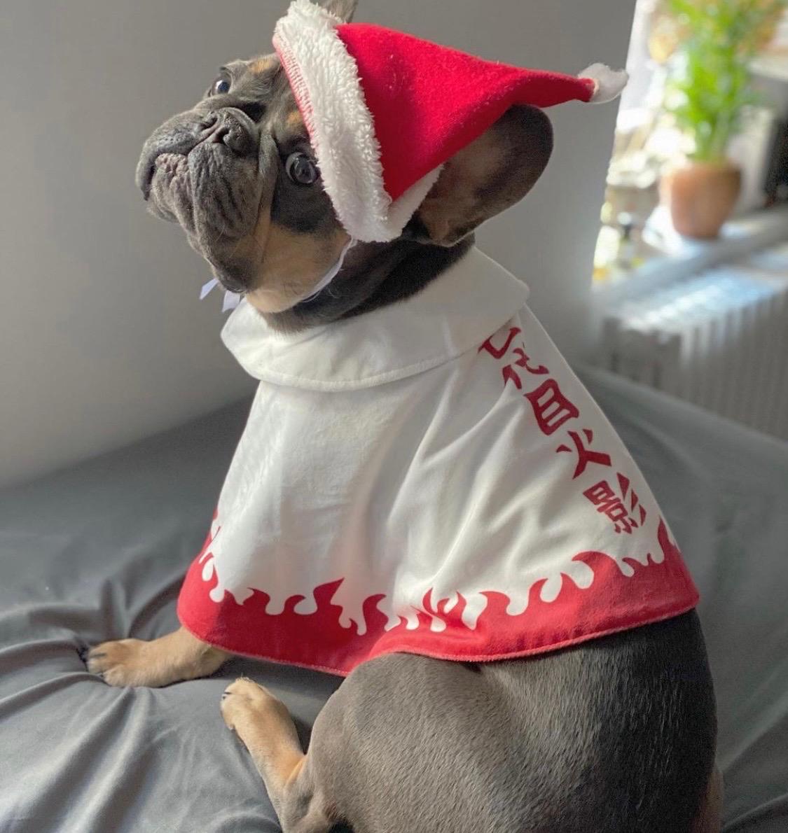 Naruto Akatsuki Robe Dog Costume, Anime Cosplay Ninja Costume, Pet ...