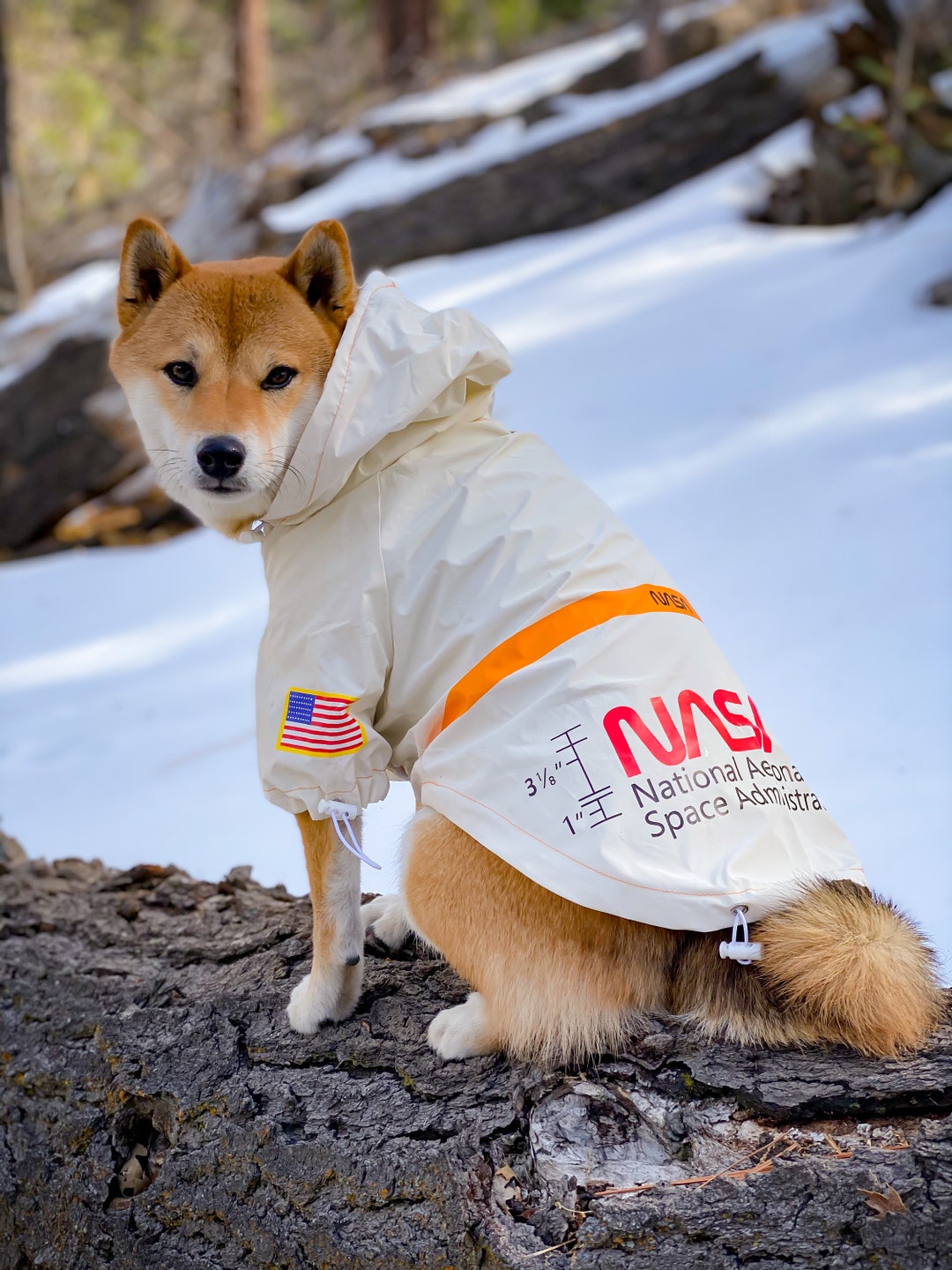 Chochocho NASA Dog Raincoats, Reflective, Water Proof, Dog NASA Costume ...