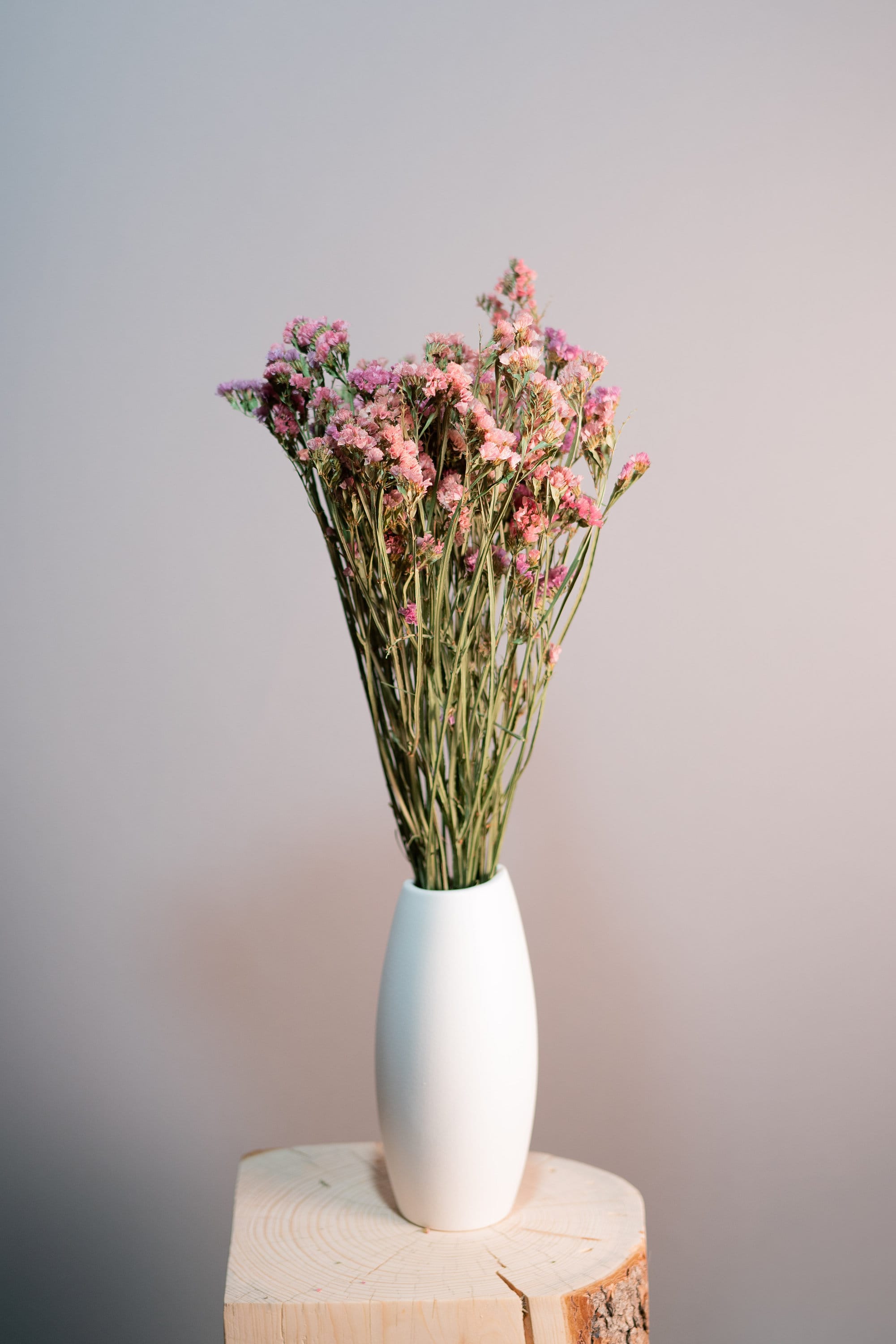 Dried Flowers — Artemis Flower Farm
