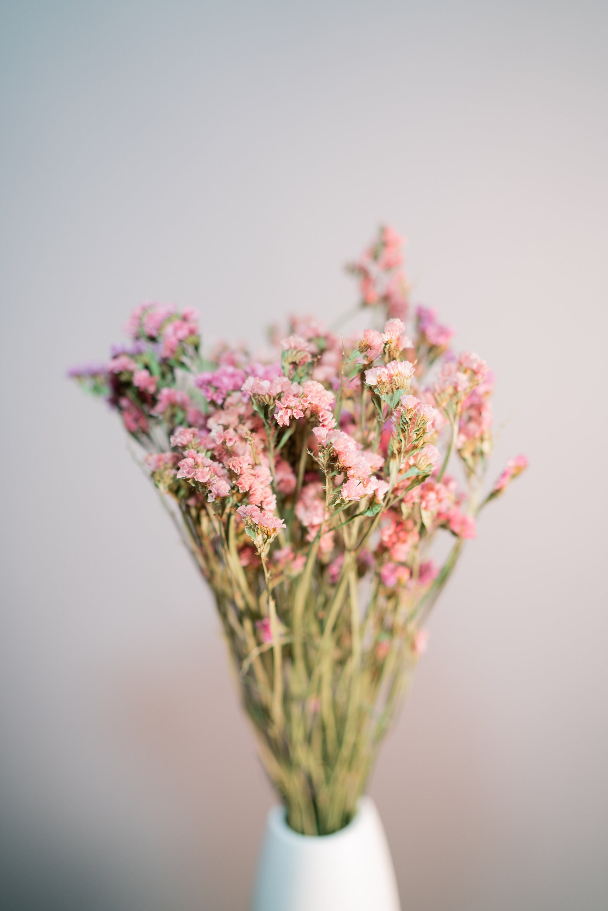Dried Peach Statice Flowers — Artemis Flower Farm