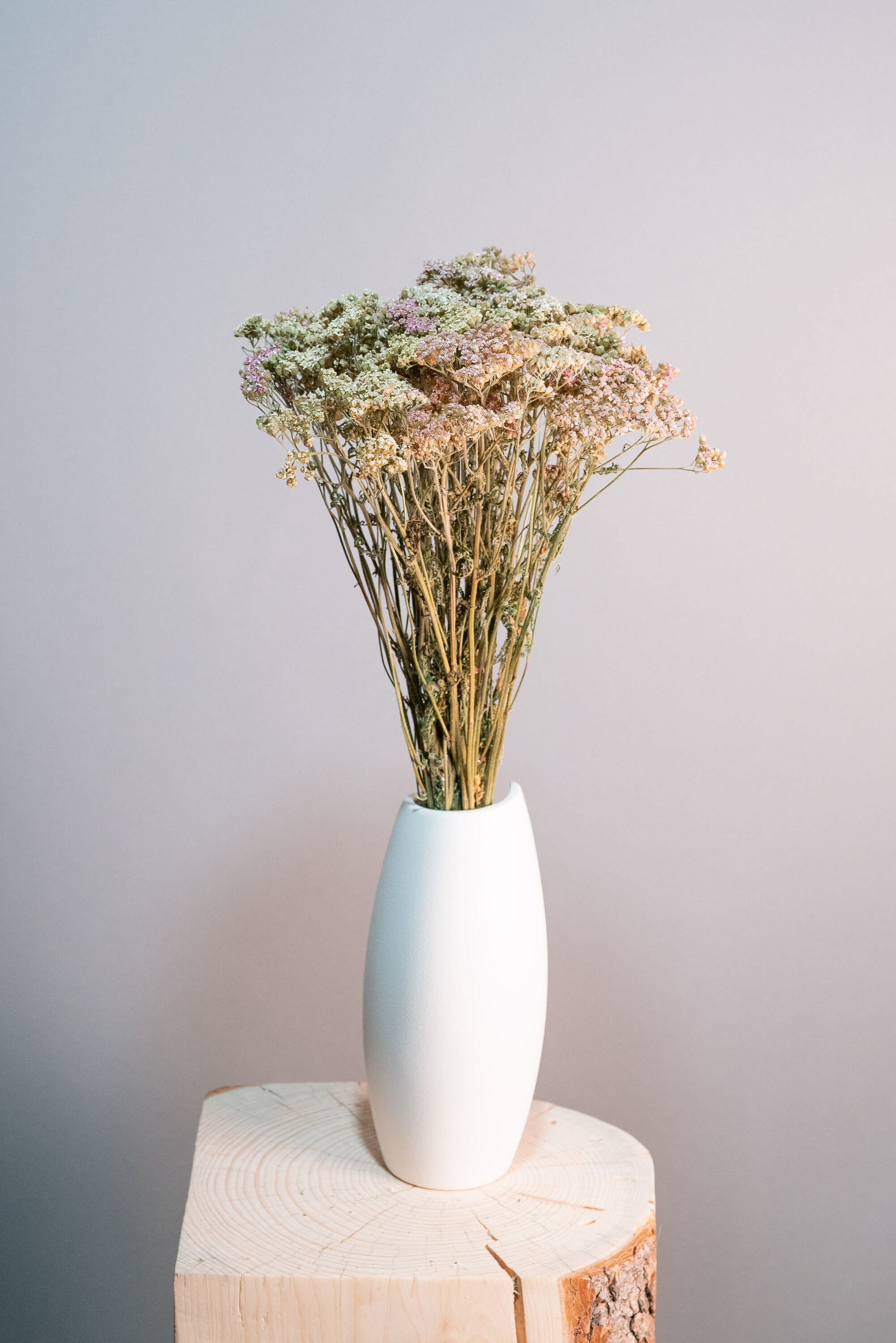 Dried Yarrow — Artemis Flower Farm