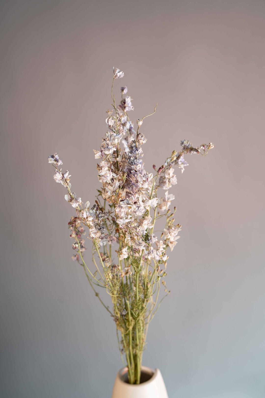 Dried Larkspur Flowers - Everlasting, Naturally Preserved, Air-dried ...