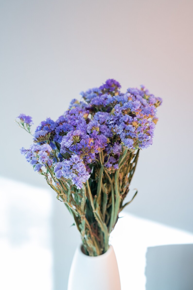 Dried Blue Statice Flowers | Limonium Sinuatum | Everlasting, Naturally ...