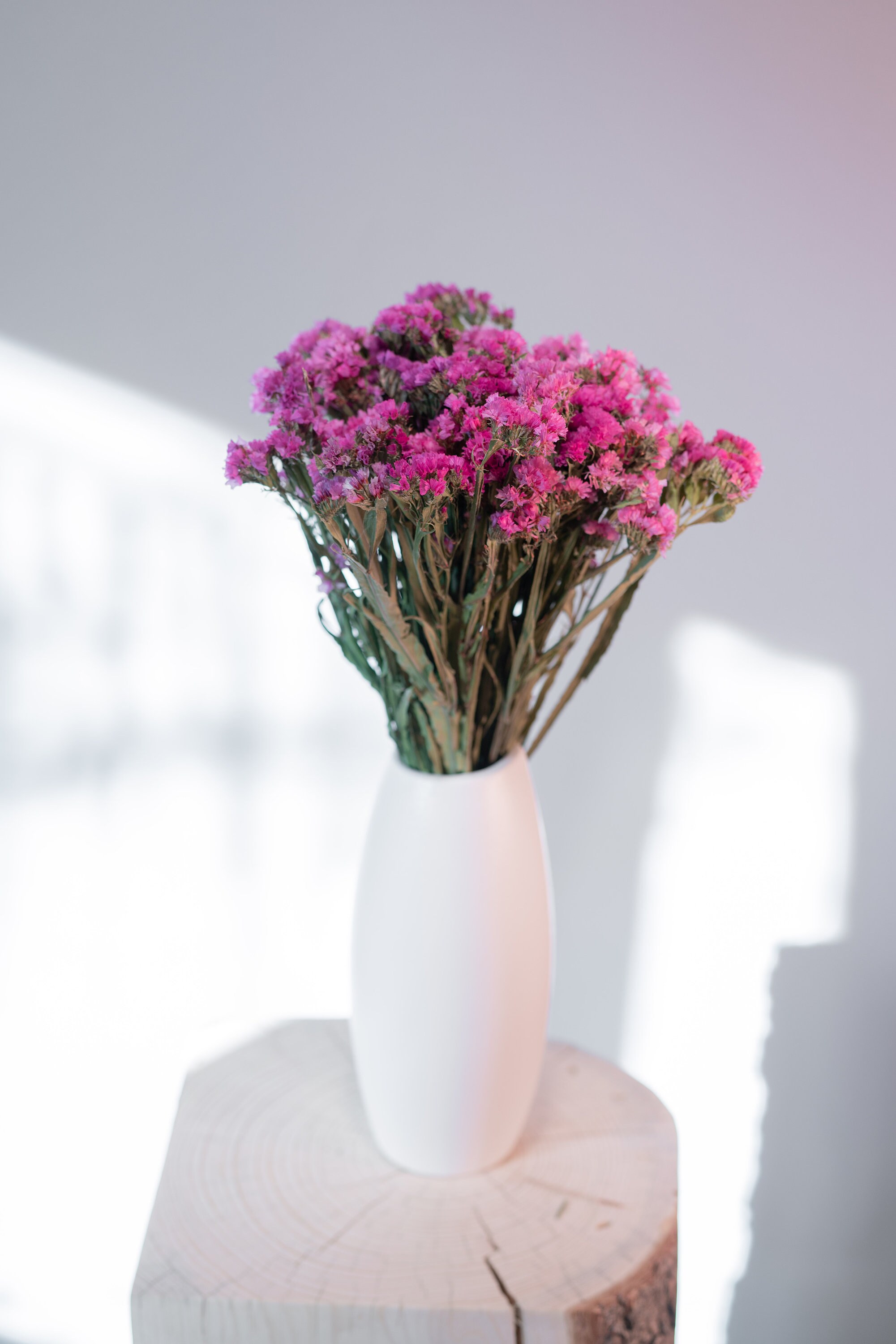 Dried Flowers — Artemis Flower Farm