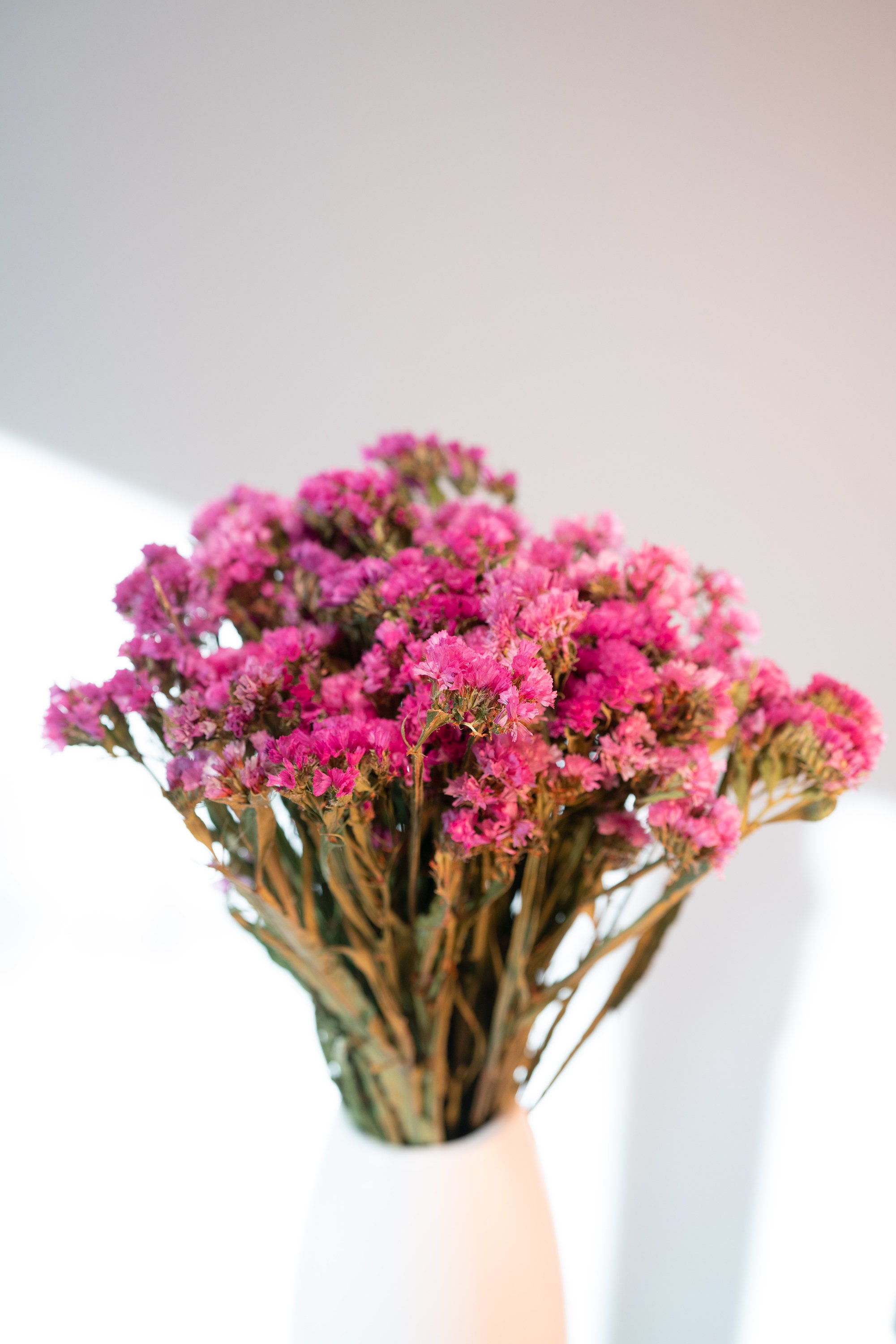 Dried Flowers — Artemis Flower Farm