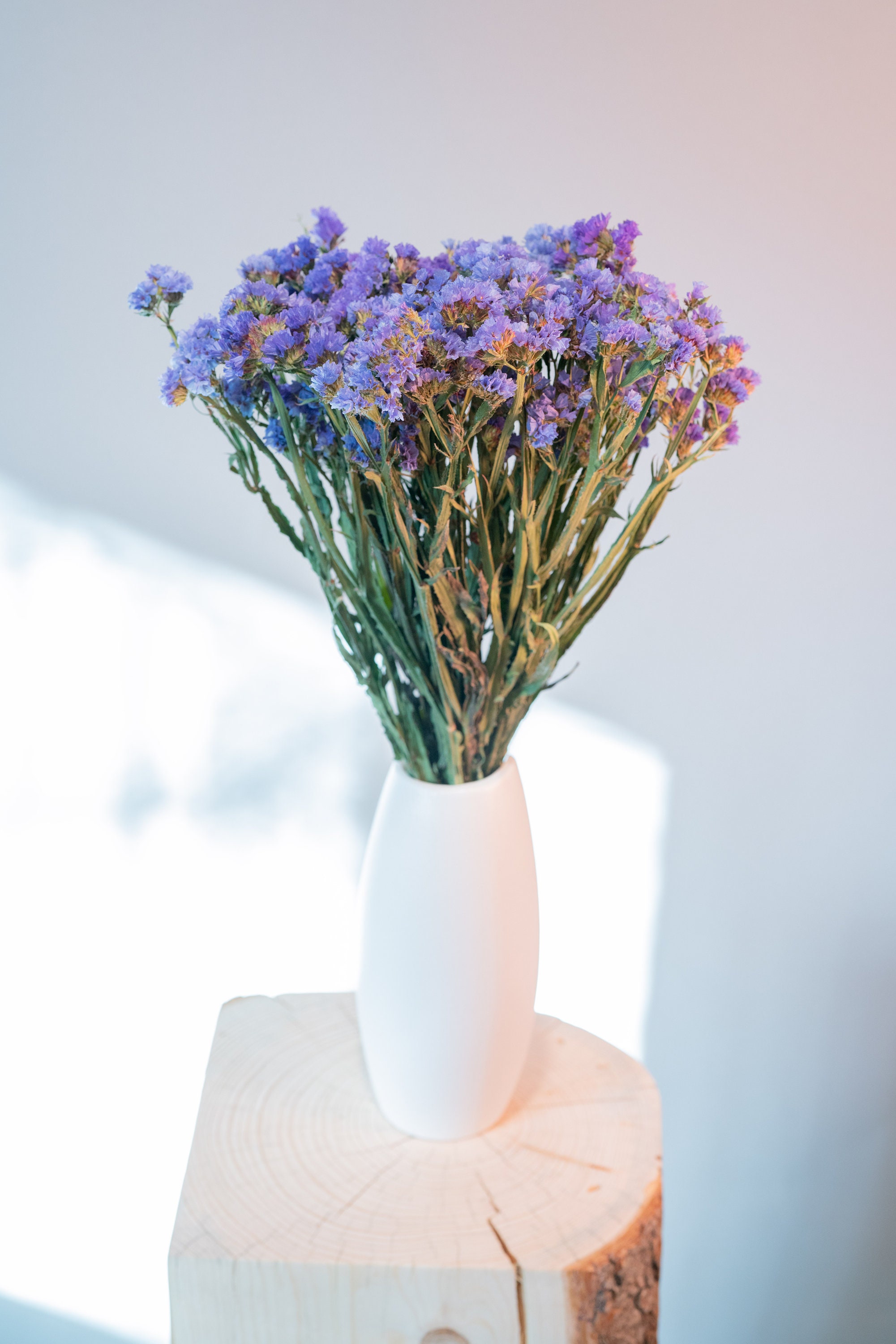 Dried Blue Statice Flowers | Limonium Sinuatum | Everlasting, Naturally ...