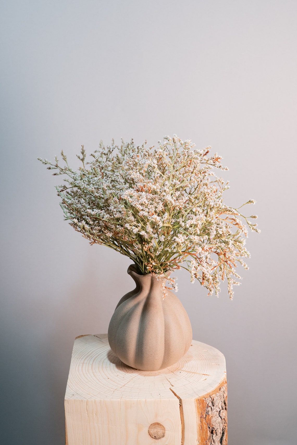 Dried German Statice Flowers | Goniolimon Tataricum - Everlasting ...