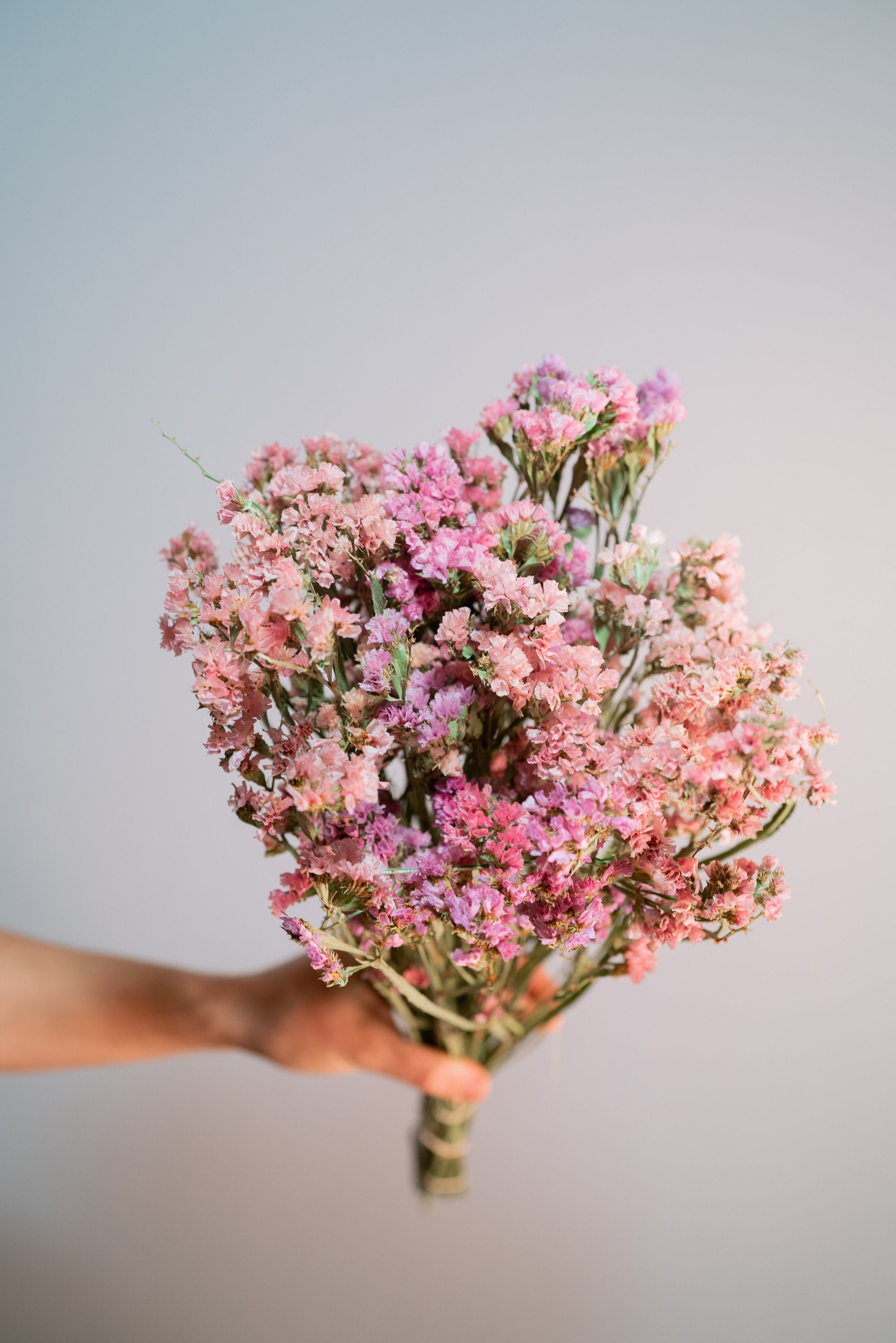 Dried Peach Statice Flowers — Artemis Flower Farm