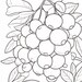Fruit Coloring Pages, Fruit Coloring Book for Kids, Boys, Girls, Teen ...