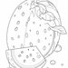 Fruit Coloring Pages, Fruit Coloring Book for Kids, Boys, Girls, Teen ...