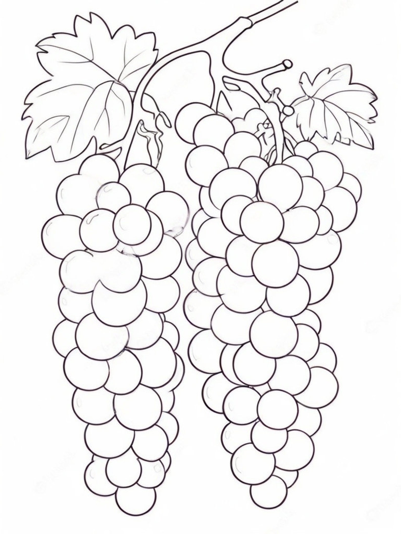 Fruit Coloring Pages, Fruit Coloring Book for Kids, Boys, Girls, Teen ...