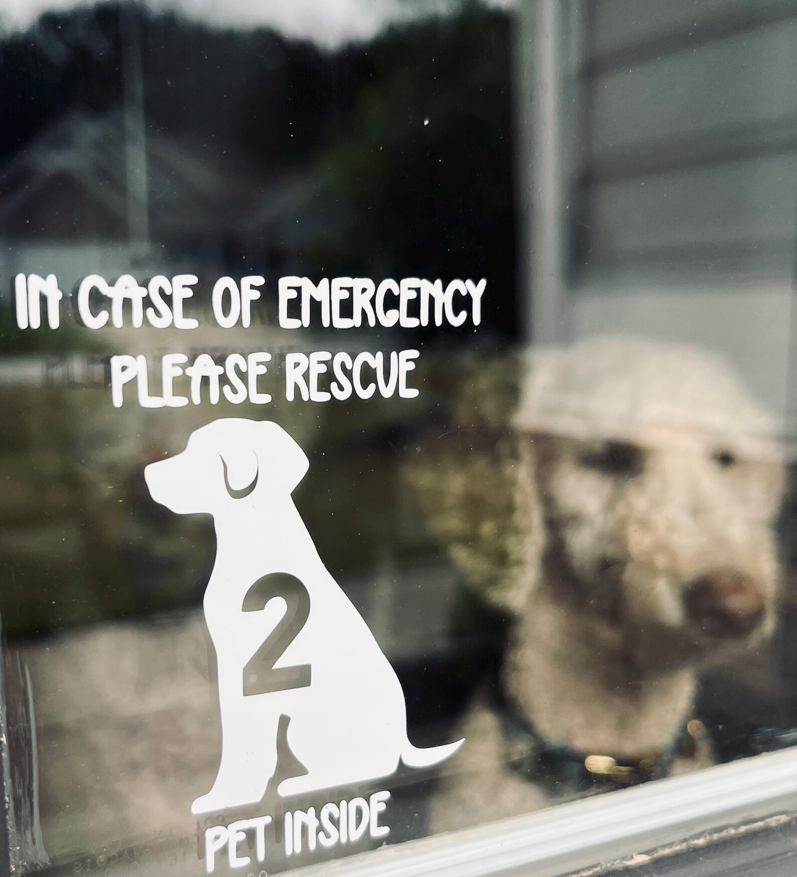Pet Rescue Alert Window Sticker | Emergency Notification for Responders ...