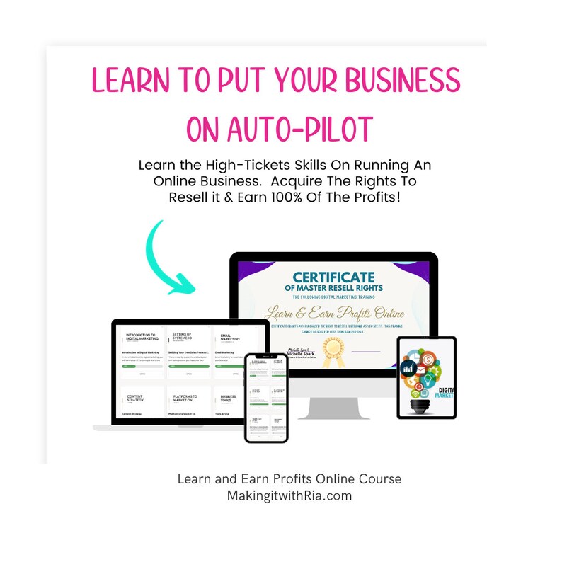 Learn & Earn Profits Online, LEPO Course, MRR Course, Master Resell ...