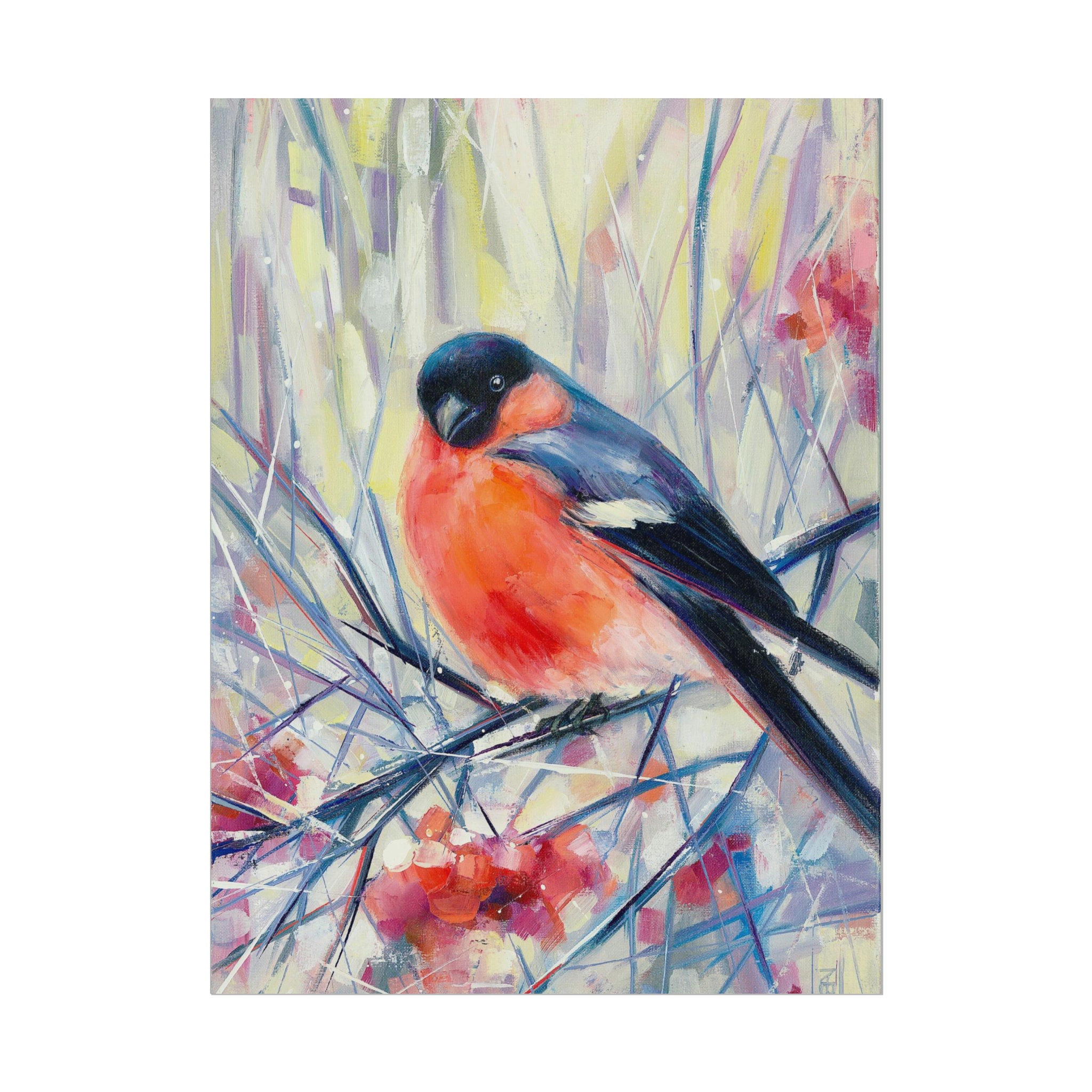 Rolled Poster Bird Artwork Print : Bullfinch - Etsy