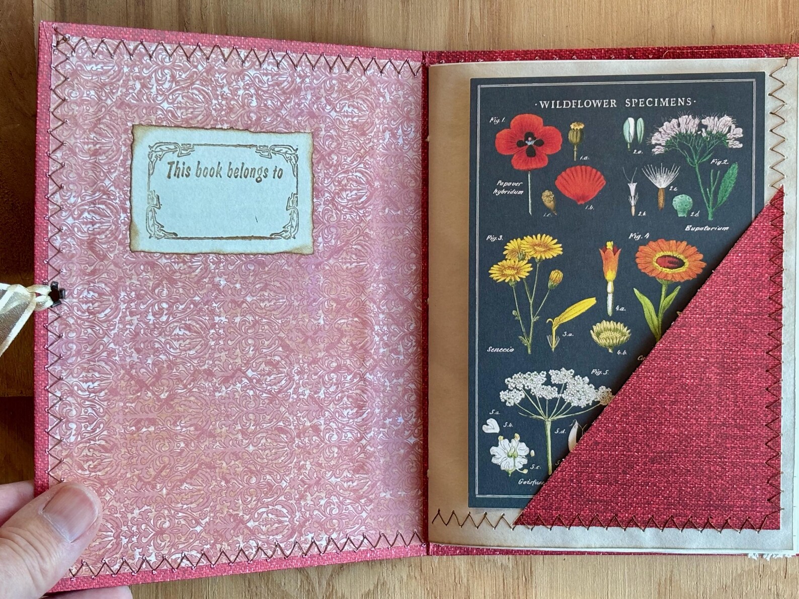 Special Cavallini Card-covered, Journal Full of Unique and Beautiful ...