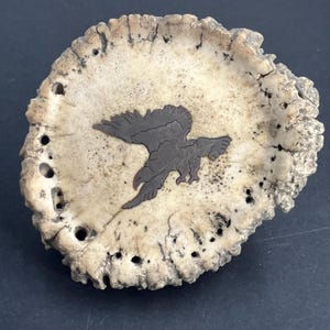 Vintage Elk Antler Burr Rosette Crown Silver Inlay Eagle Belt Buckle ...