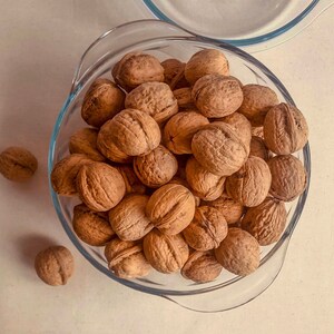 Walnut in Shell, Premium Organic Walnuts in Shell. - Etsy