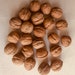 Walnut in Shell, Premium Organic Walnuts in Shell. - Etsy