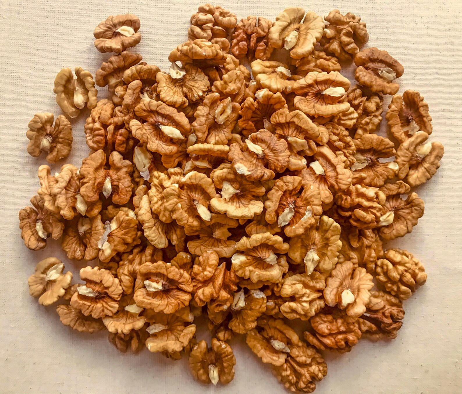 Walnut Kernel, Organic Walnuts Kernel - Etsy